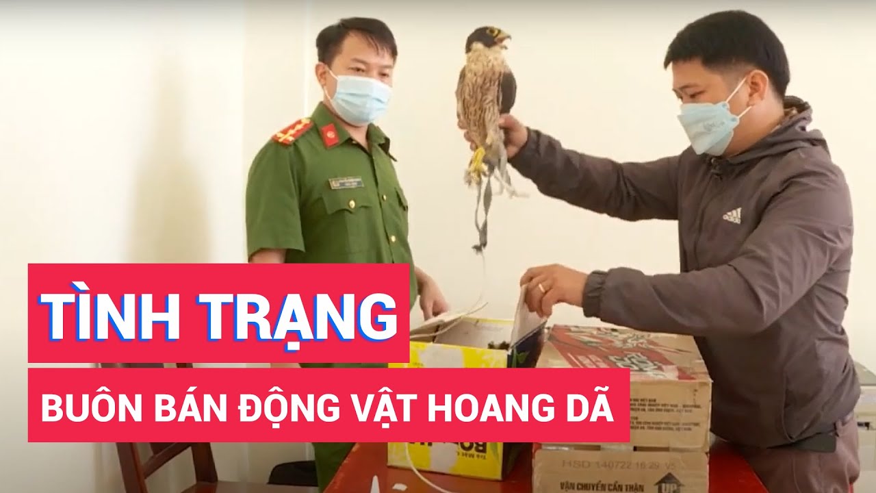 Nóng tình trạng buôn bán động vật hoang dã - ThienNhien.Net | Con người ...