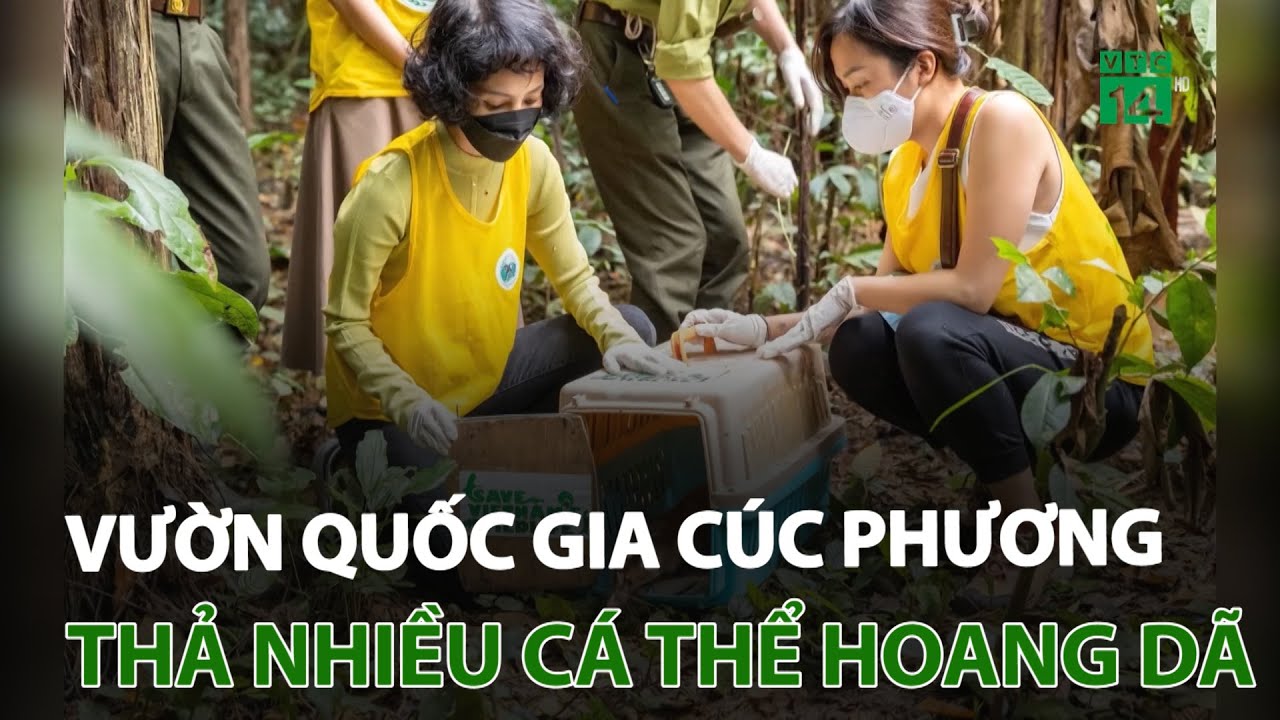 Vườn quốc gia Cúc Phương thả nhiều cá thể hoang dã về thiên nhiên ...