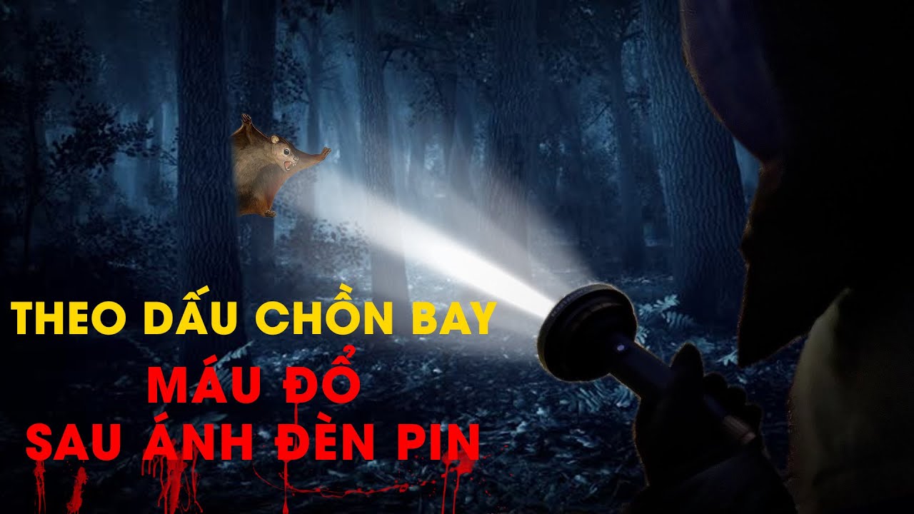 Điều tra: Cuộc truy lùng chồn bay, cheo cheo giữa rừng Cát Tiên | Kỳ 2 ...